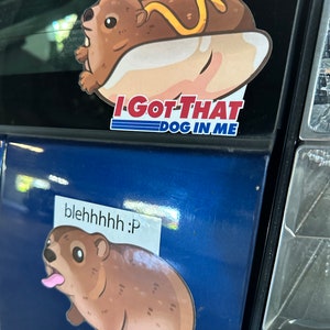Large Hyrax Sticker: 6"x 4.7" Costco Hot Dog Hyrax. Funny Cute Animal ...