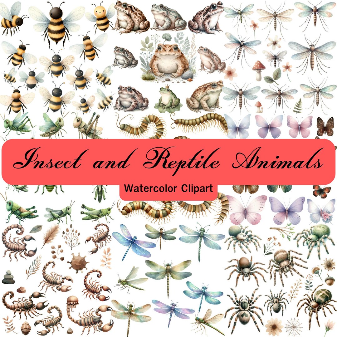 Insect and Reptile Animals Clipart, Cute Bugs and Reptiles PNG, Digital ...