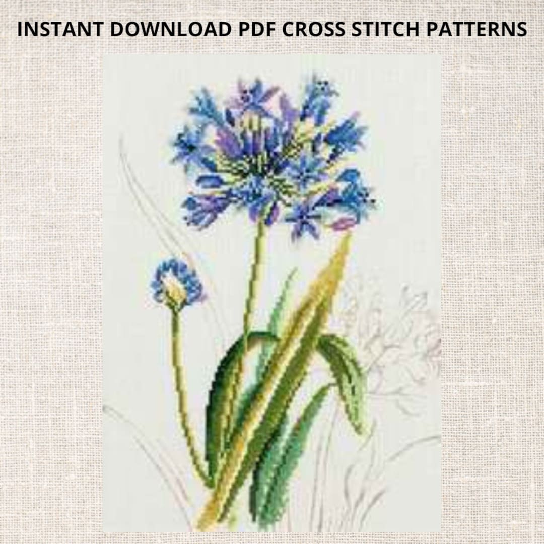Cross Stitch PDF Pattern Agapanthus Cross Stitch Pattern PDF Instant ...