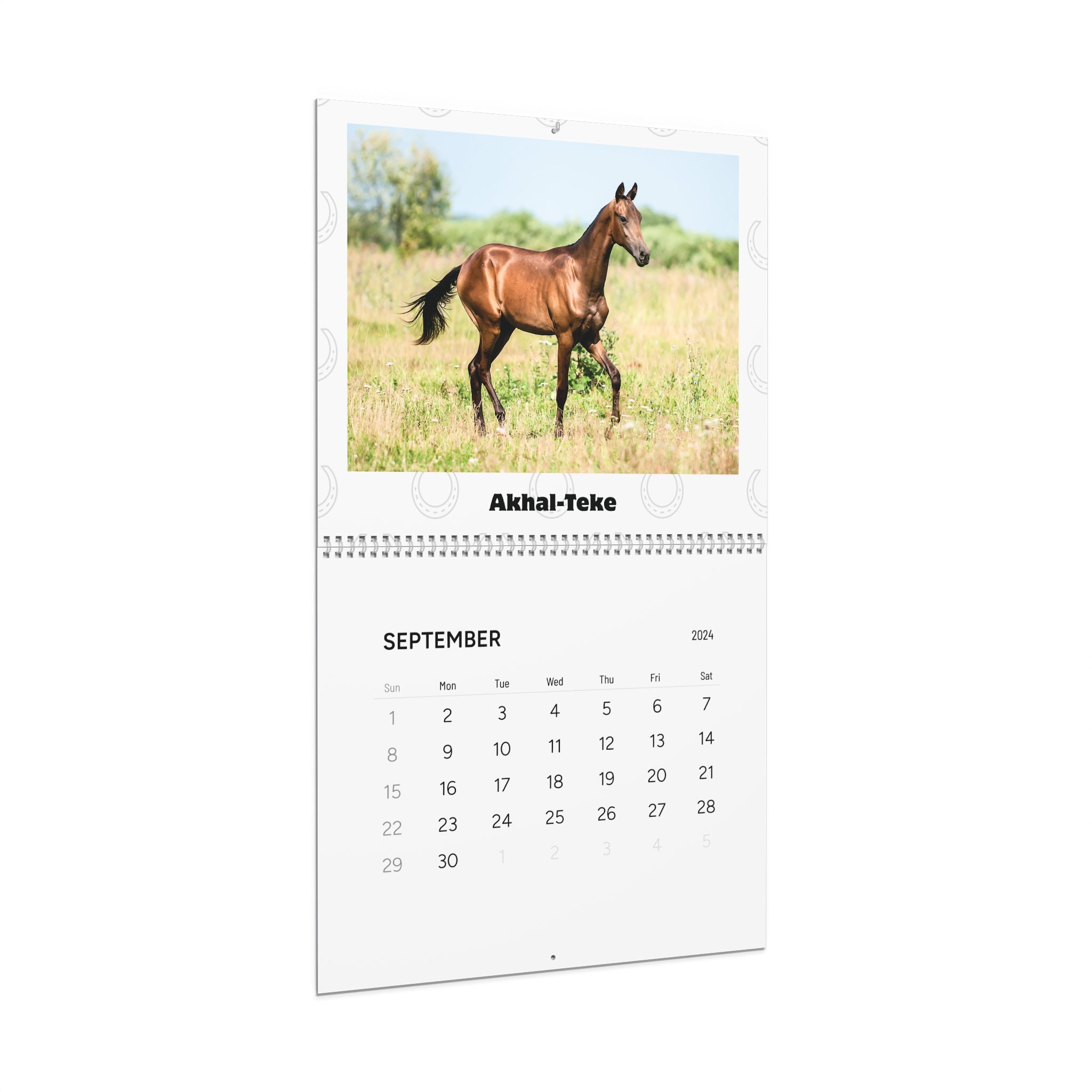 Horses 2024 Wall Calendars (2024) - Etsy