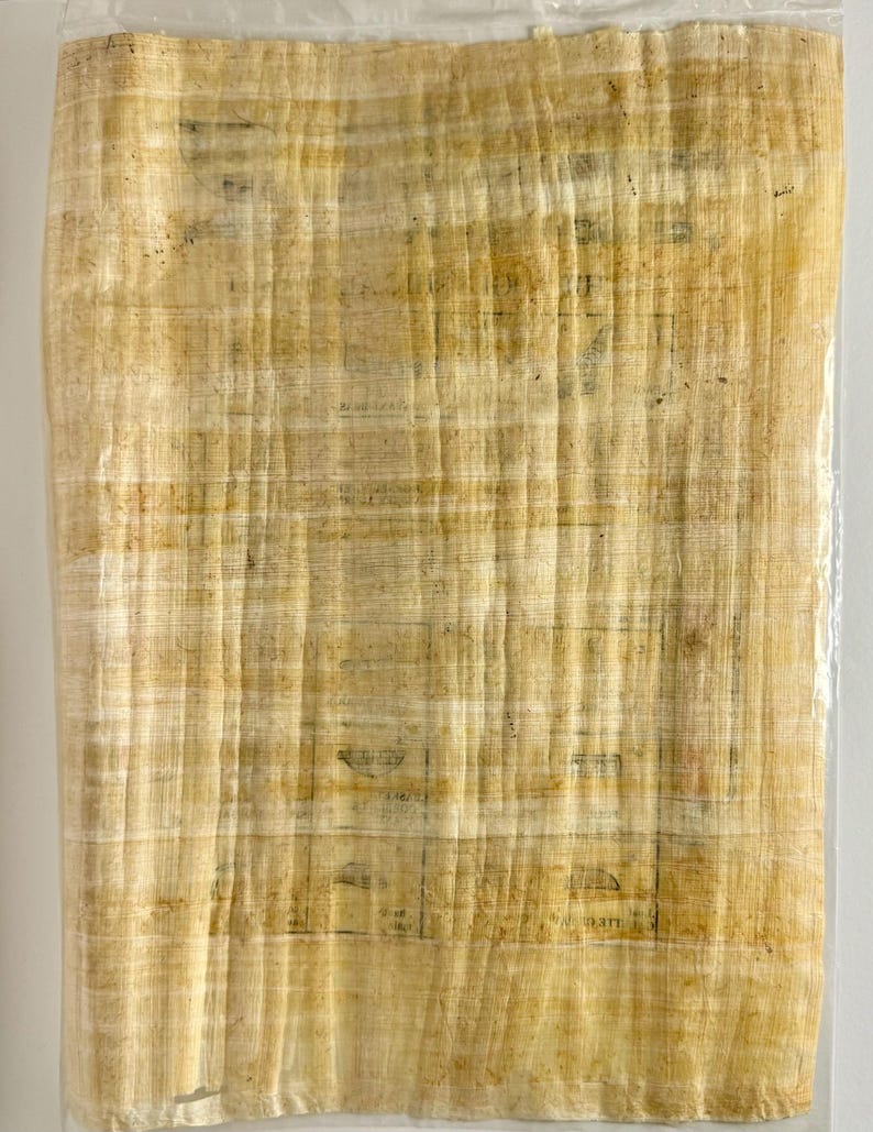 Hand-painted Egyptian Papyrus Art | Ancient Egypt Wall Decor ...