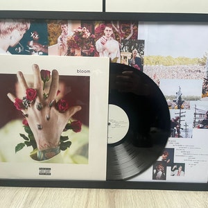 Machine Gun Kelly Bloom Framed Vinyl LP 40x60cm - Etsy