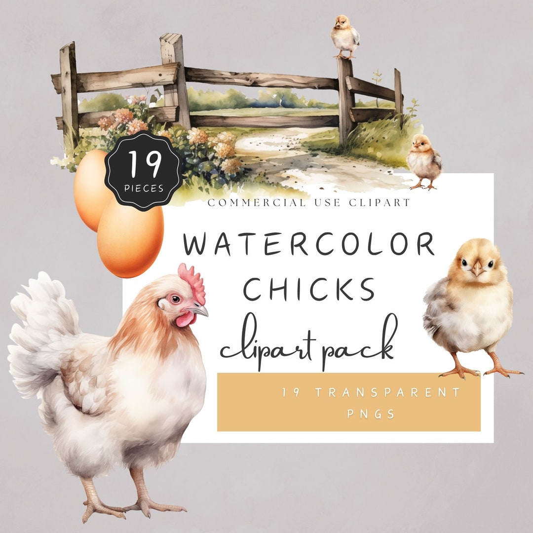 Watercolor Chicken Clipart Cute Chicks White Yellow Brown Fence Bucket ...