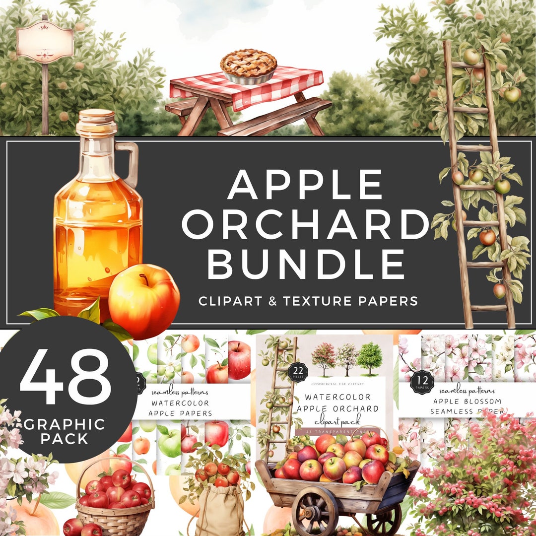 Watercolor Apple Clipart Bundle, Apple Blossom Paper Theme, Commercial ...