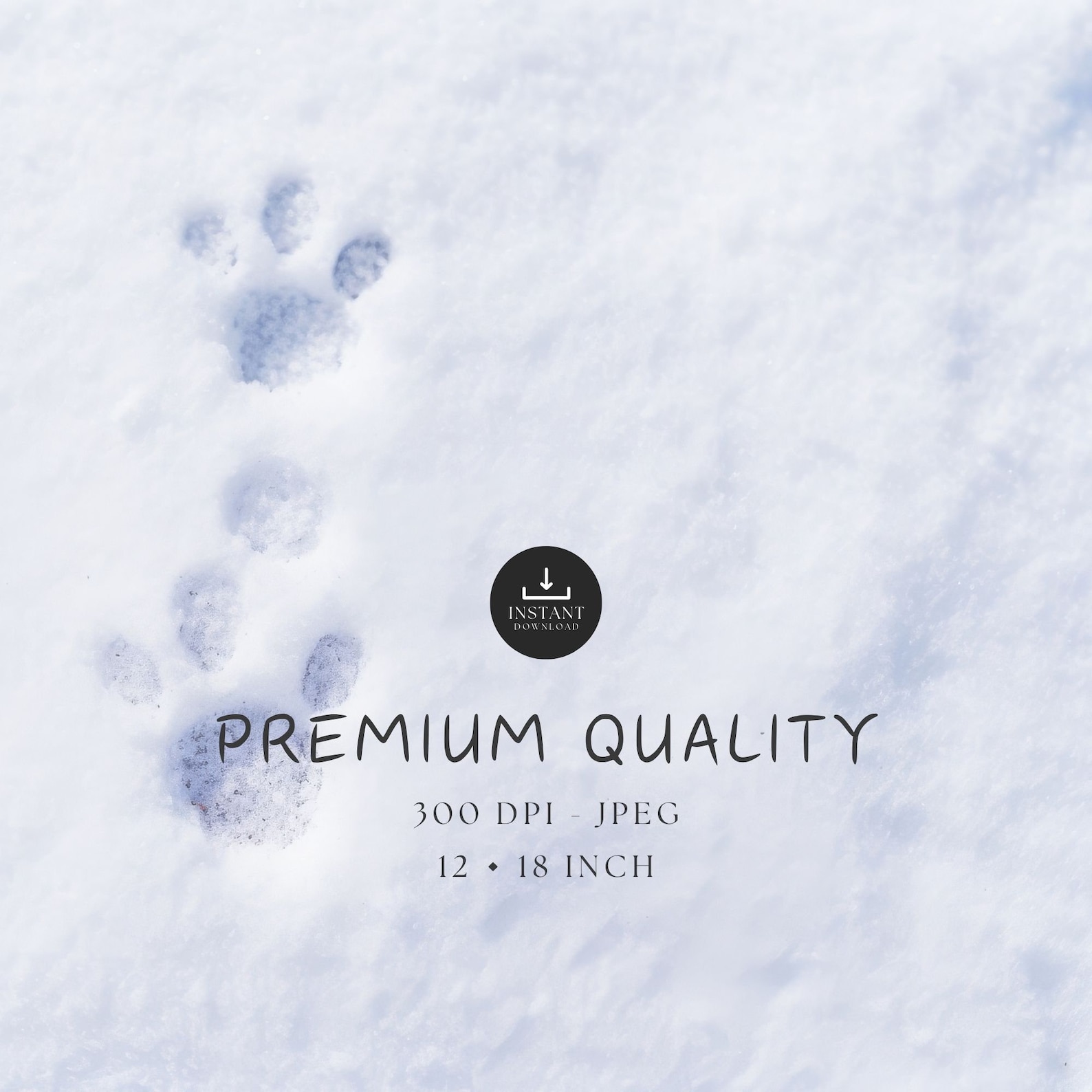 White Snow Texture Pack, Footsteps in the Snow, 12 Digital Papers ...