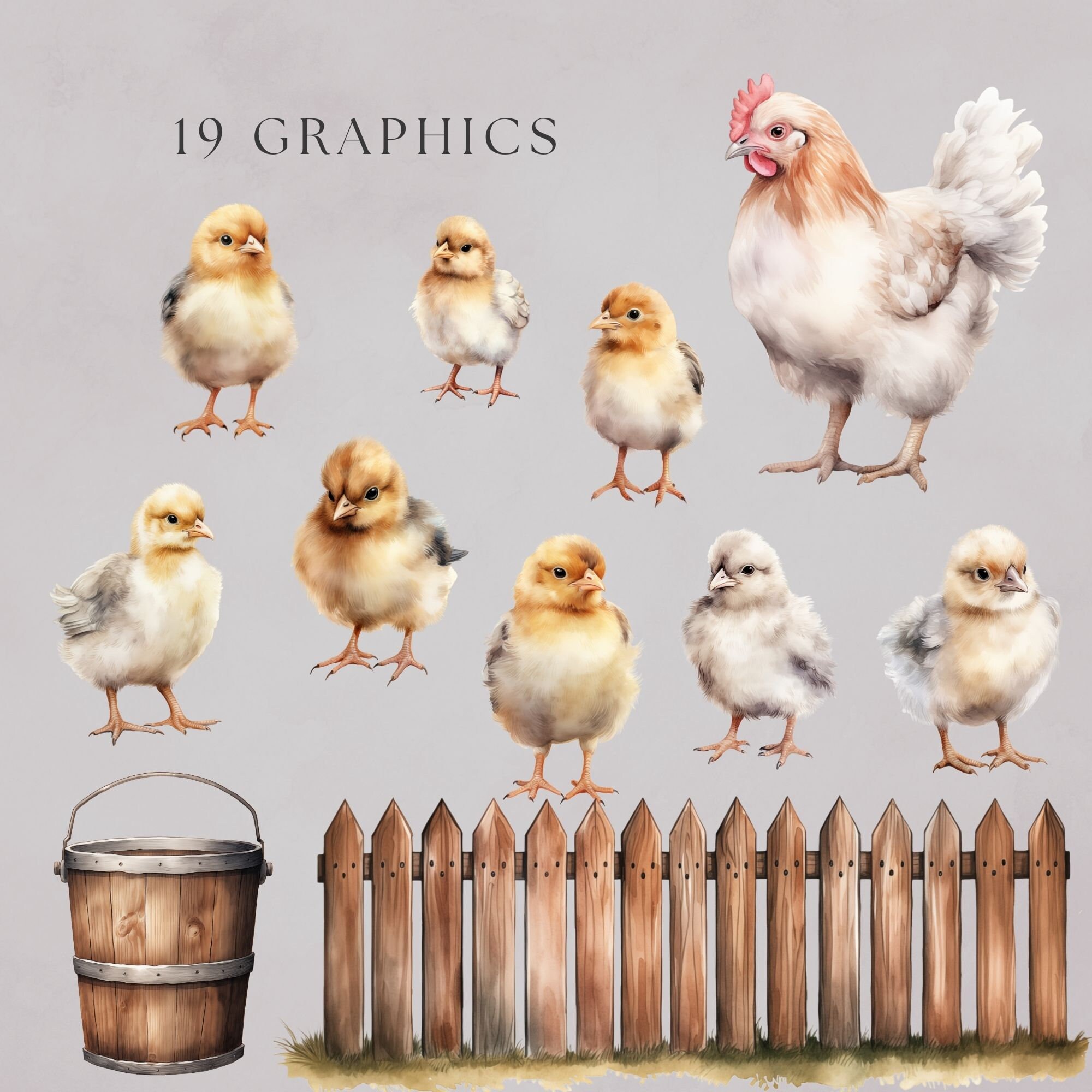 Watercolor Chicken Clipart Cute Chicks White Yellow Brown Fence Bucket ...