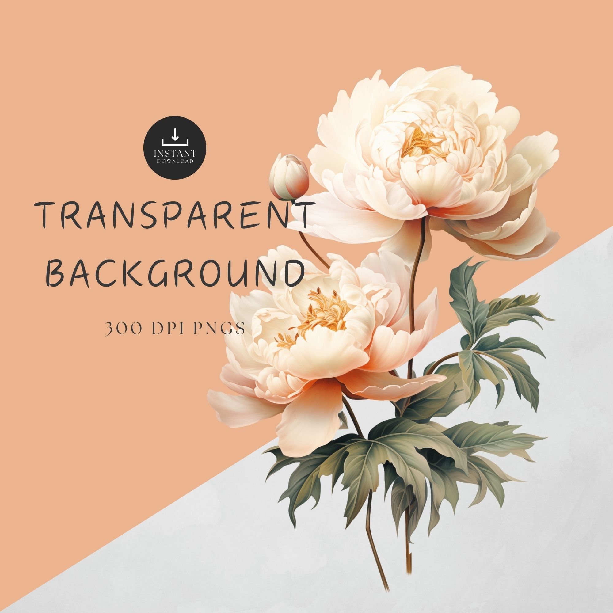 Peachy Peonies Clipart Bundle Realistic Peony Flower Peach Pink Orange ...