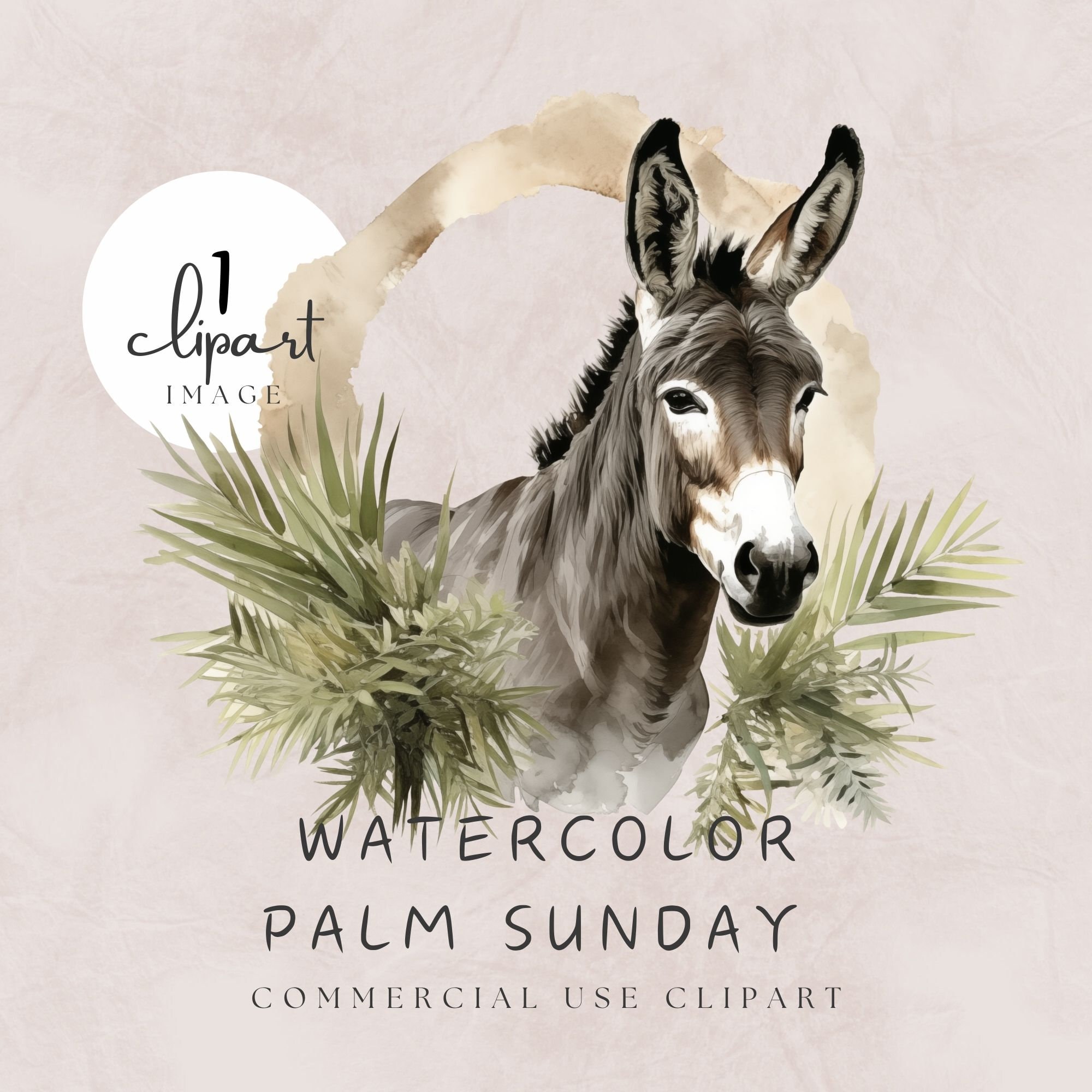 Palm Sunday Donkey Clipart, Watercolor Christian Illustration, Aquarel ...