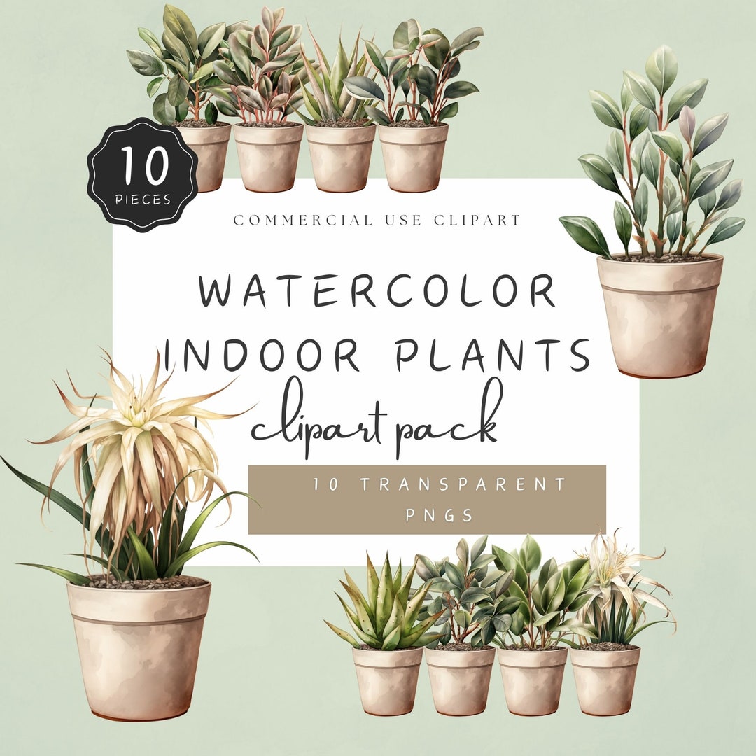 Indoor Plant Clipart Watercolor Potted House Plants Spider Lily Aloe ...