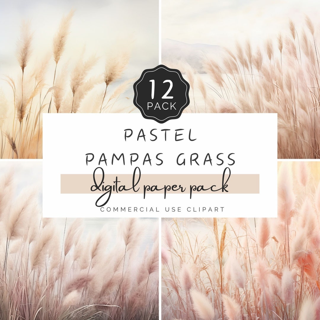 Pampas Grass Digital Paper Pack, Watercolor Romantic Scenery, Boho ...