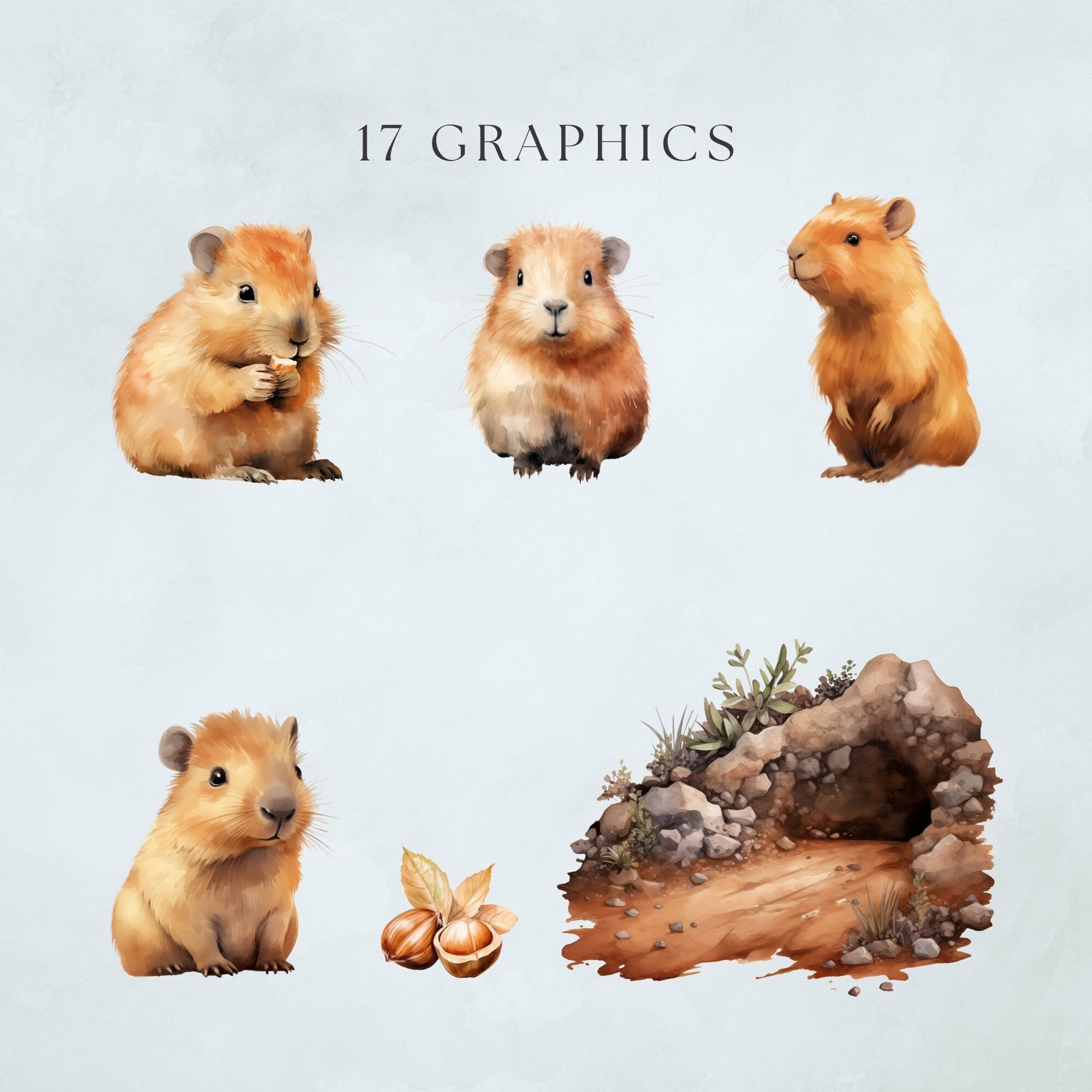 Capybara Clipart Cute Baby Capybara PNG Natural Watercolor Illustration ...
