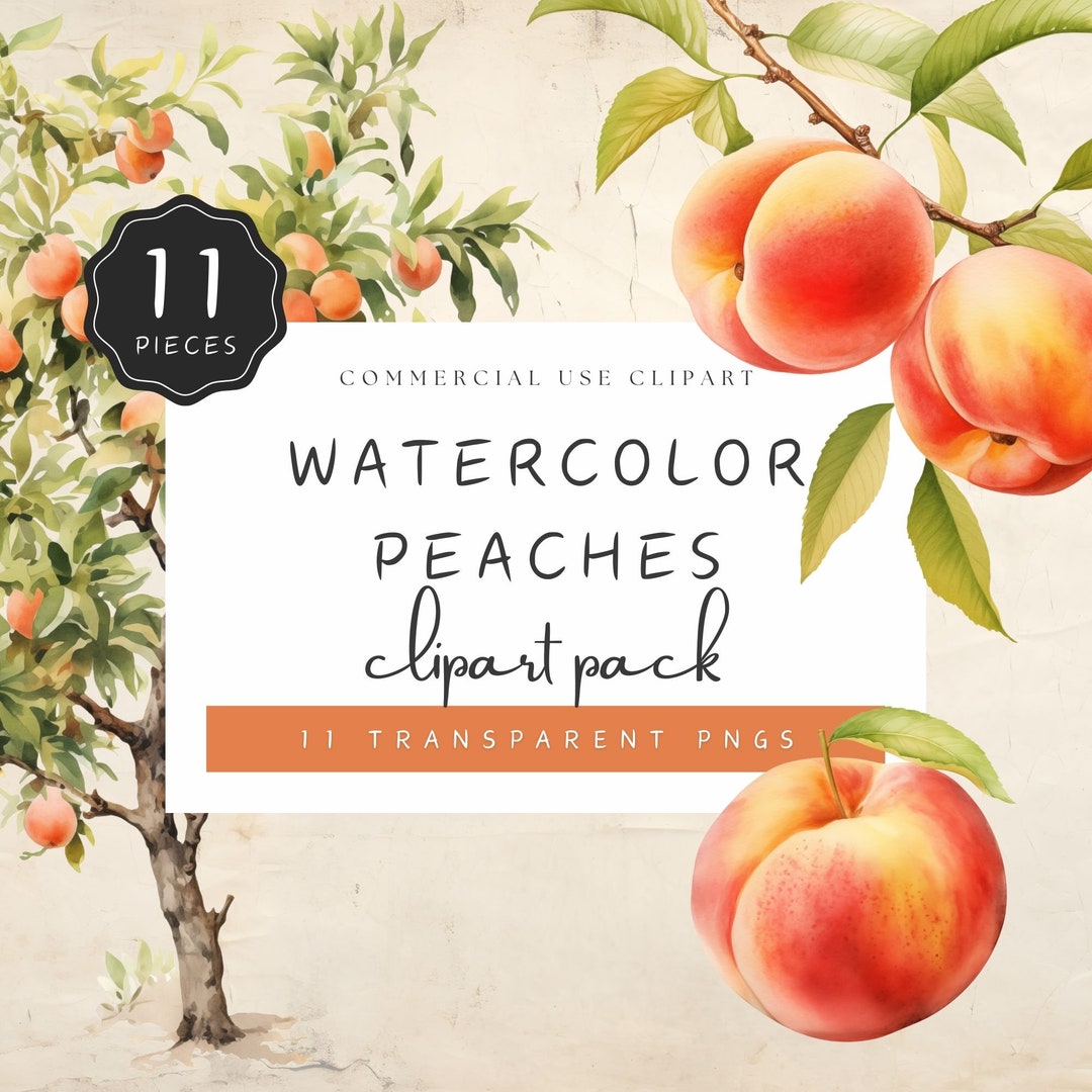 Peach Clipart Watercolor Fruit Garden Peach Tree PNG Transparent ...