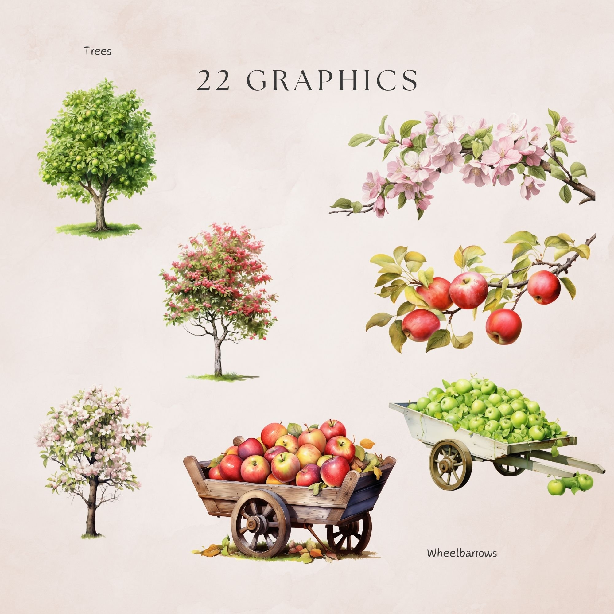 Apple Clipart Orchard Green Apple Picking Harvest Summer Fall Basket ...