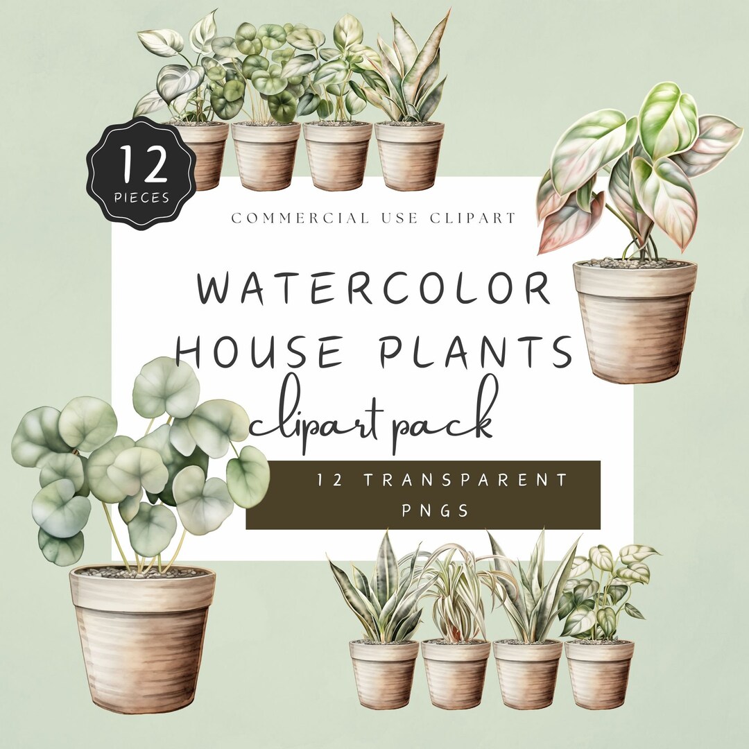 Plants in Pot Clipart Watercolor Indoor House Plants Spider Snake ...