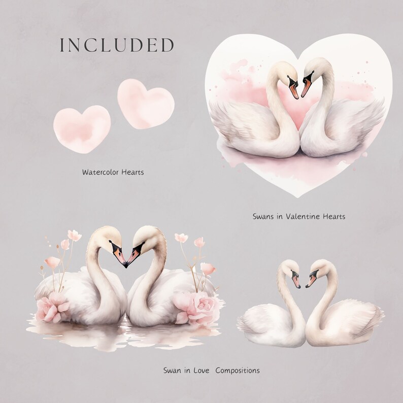 Swan Clipart Valentine Swans Clipart in Romantic Hearts Swan Couples on ...