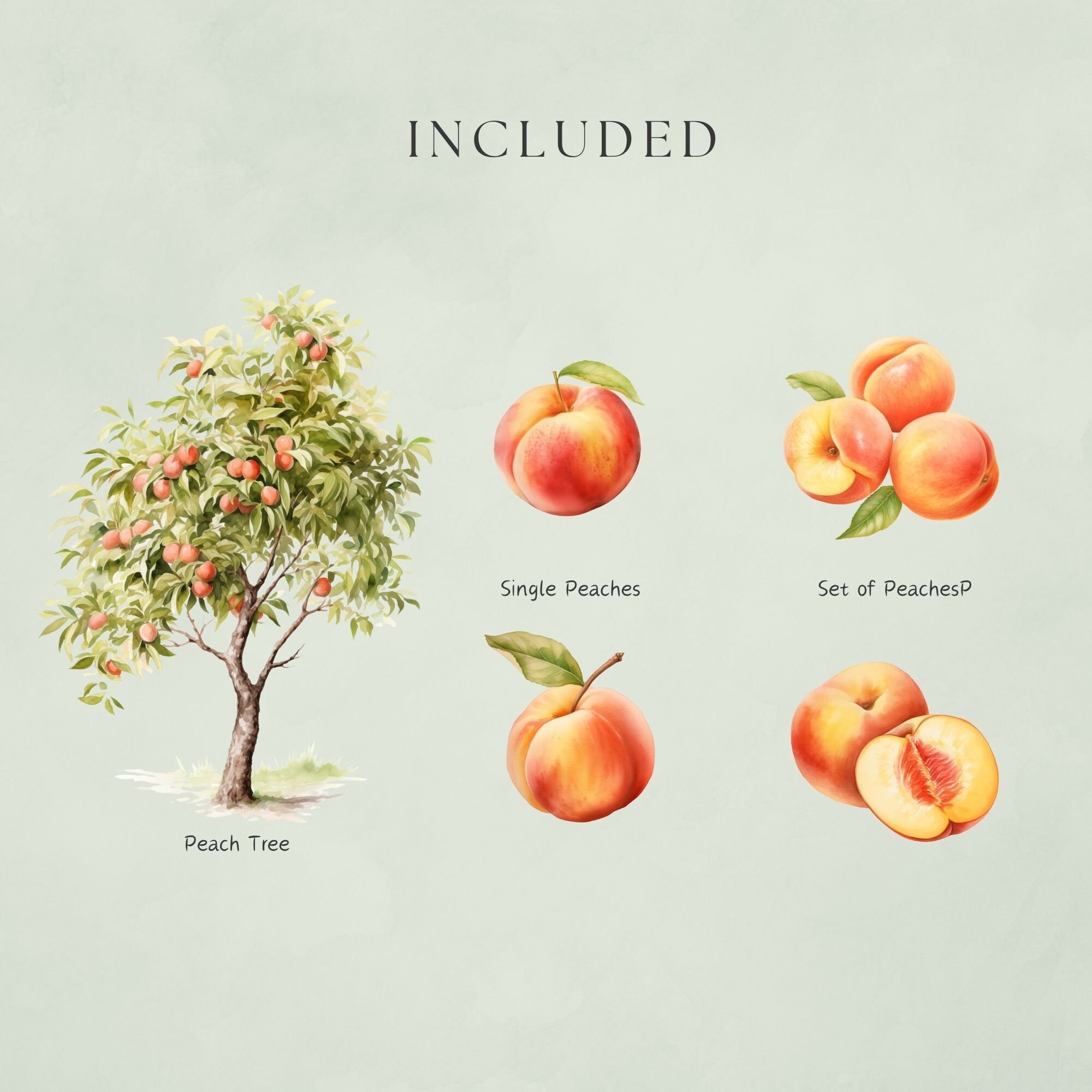 Peach Clipart Watercolor Fruit Garden Peach Tree PNG Transparent ...