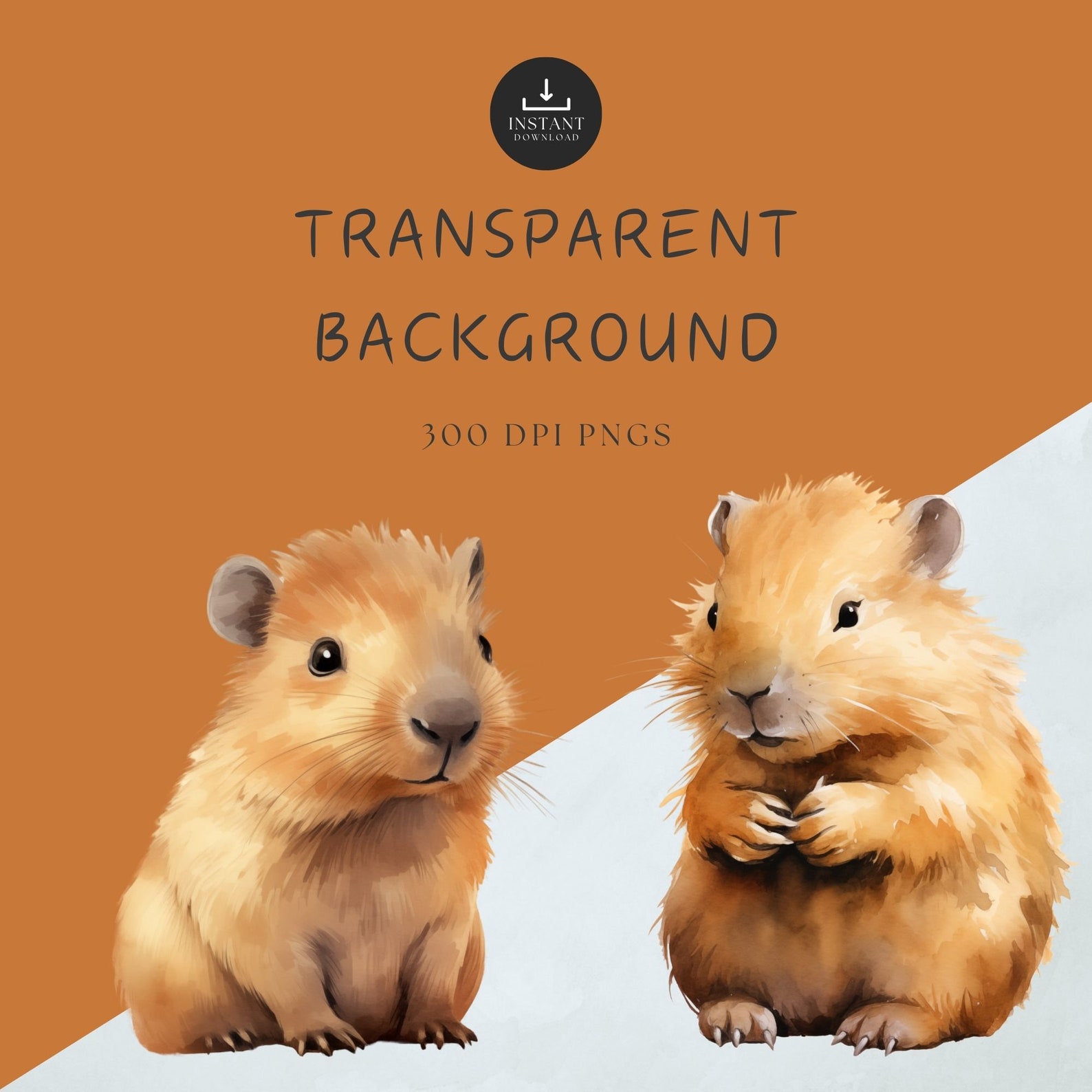 Capybara Clipart Cute Baby Capybara PNG Natural Watercolor Illustration ...