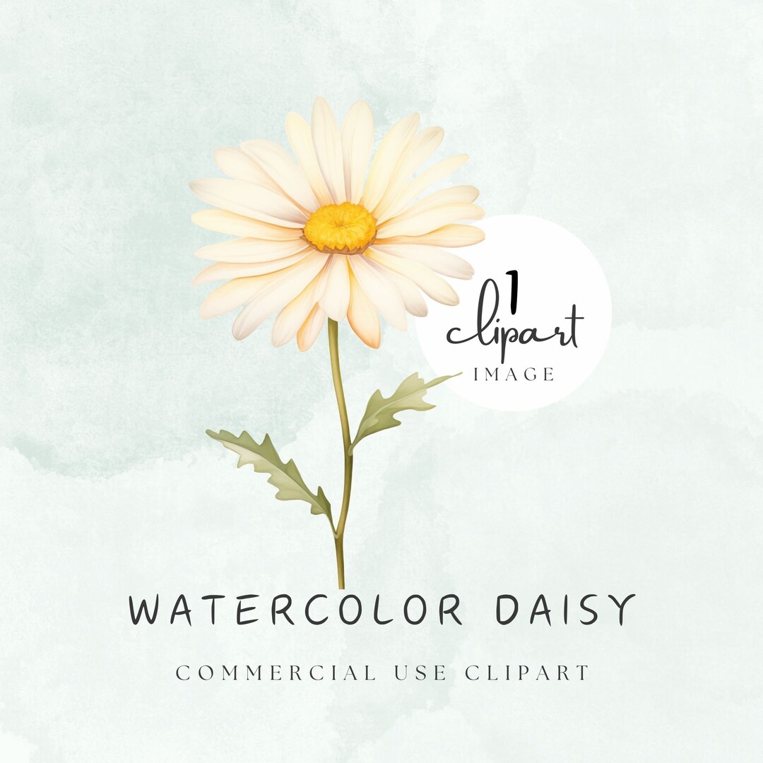 Watercolor Daisy Flower Clipart, Digital Illustration April Birth Month ...
