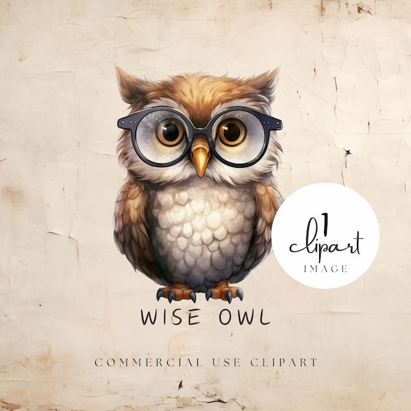 Wise Owl Clip Art - Etsy