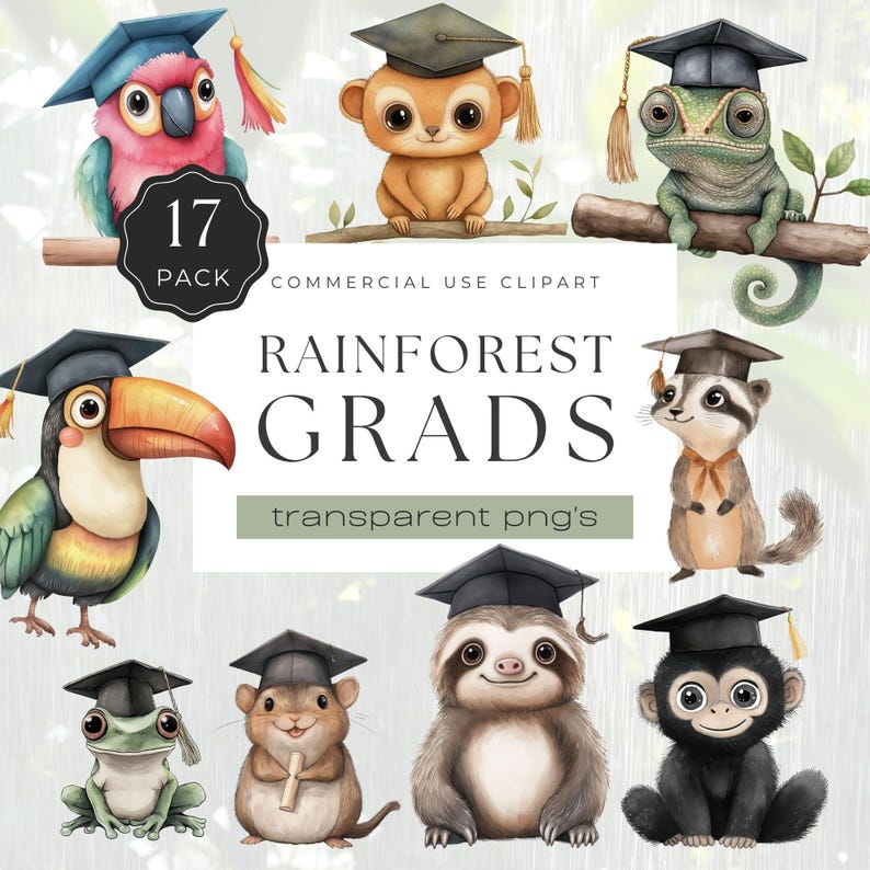Rainforest Animals With Graduation Caps, Watercolor Clipart, Jungle ...