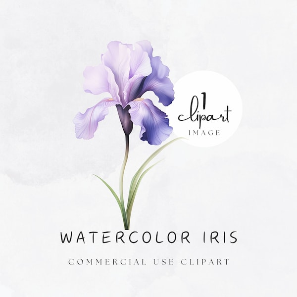 Cute Iris Clipart - Etsy