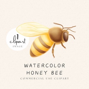 Honey Bee Clipart Watercolor PNG Single Cute Image in Yellow for ...