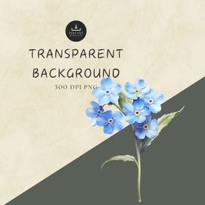 Watercolor Forget-me-not Clipart, Forget Me Not Flower Illustration ...