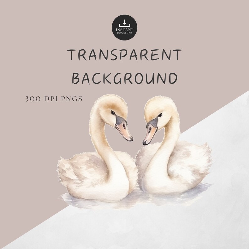 Baby Swan Clipart Image Cute Twin Watercolor Clip Art Elegant Swans in ...