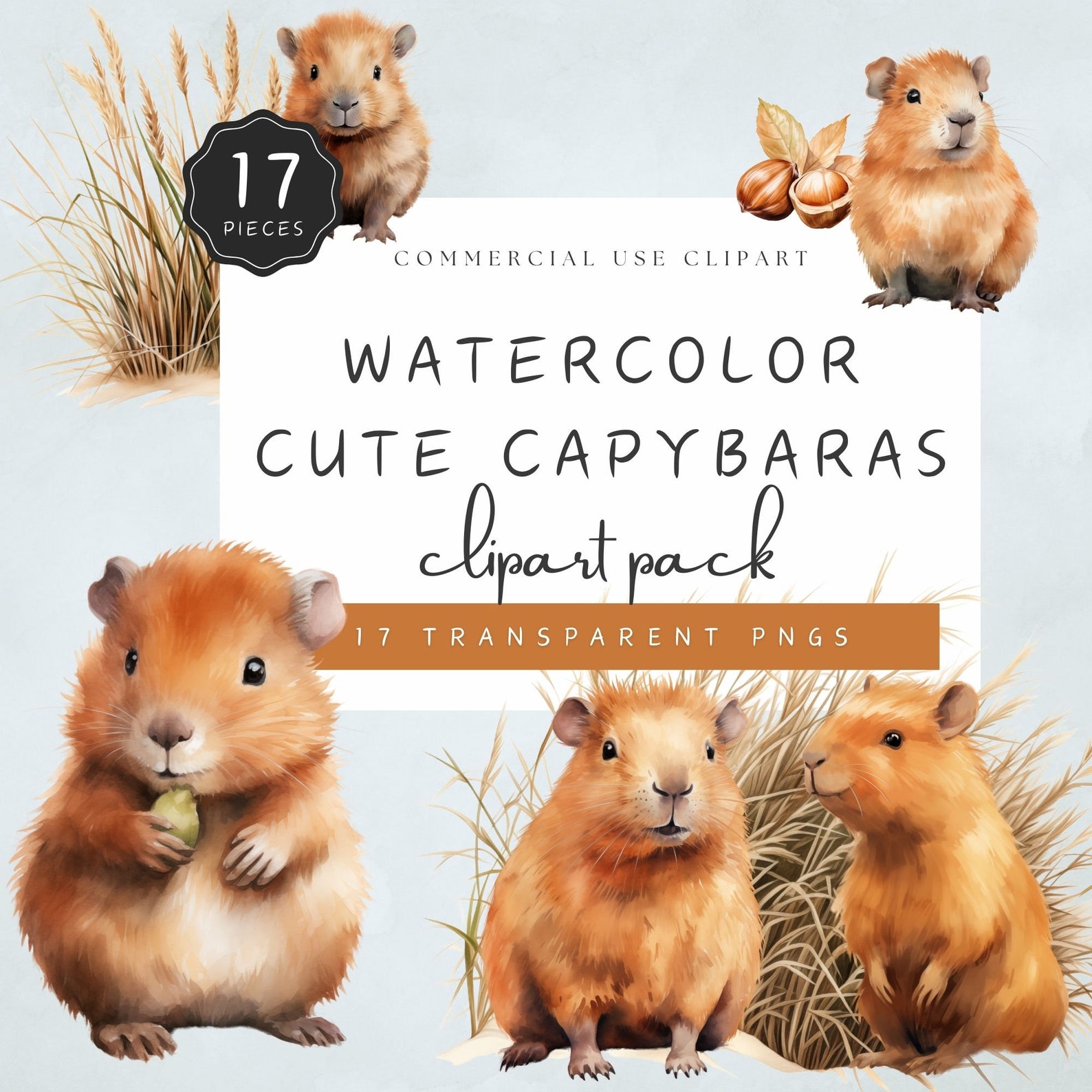 Capybara Clipart Cute Baby Capybara PNG Natural Watercolor Illustration ...