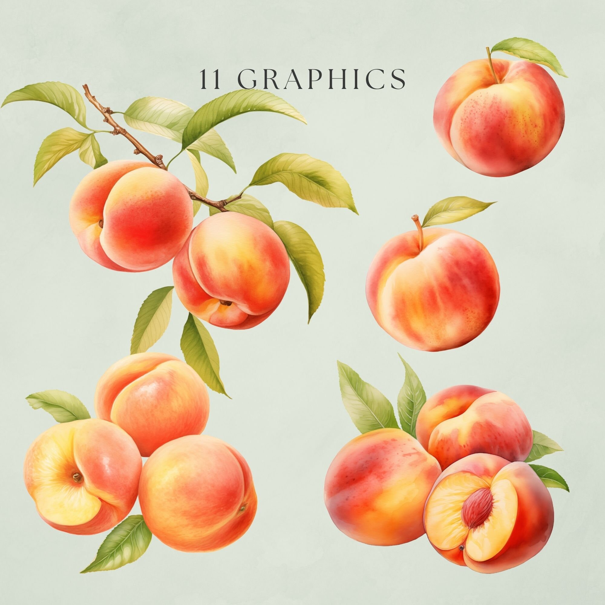 Peach Clipart Watercolor Fruit Garden Peach Tree PNG Transparent ...