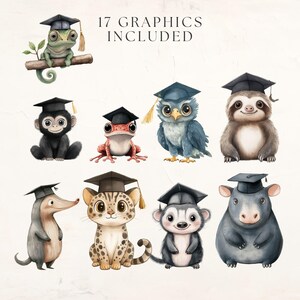 Rainforest Animals With Graduation Caps, Watercolor Clipart, Jungle ...
