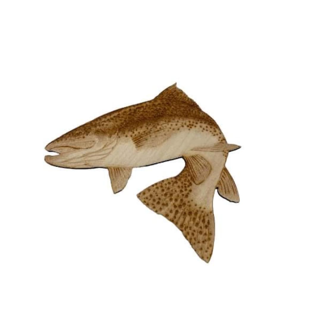 Trout Fish 3d Laser Cut Photograph 3mm Birch Wood Craft Shape ...