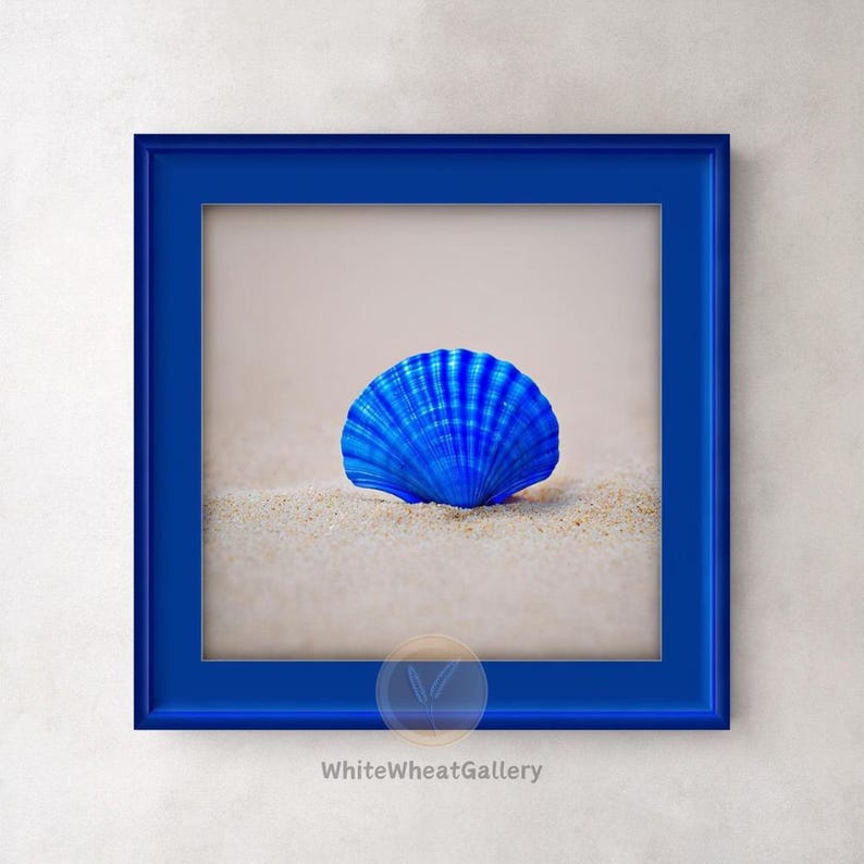 Minimalist Cobalt Blue Seashell Print, Beach Wall Art, Coastal Decor ...