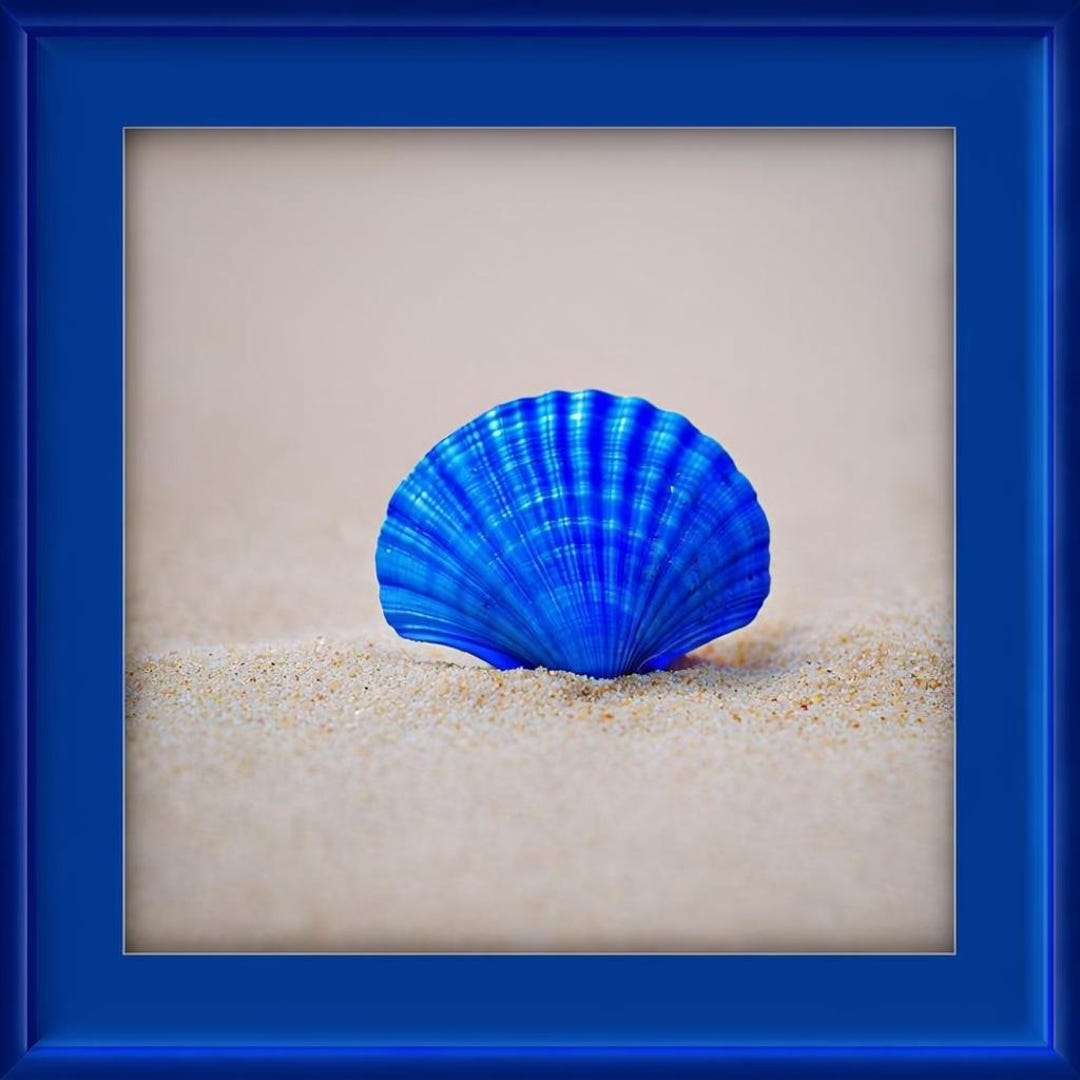 Minimalist Cobalt Blue Seashell Print, Beach Wall Art, Coastal Decor ...