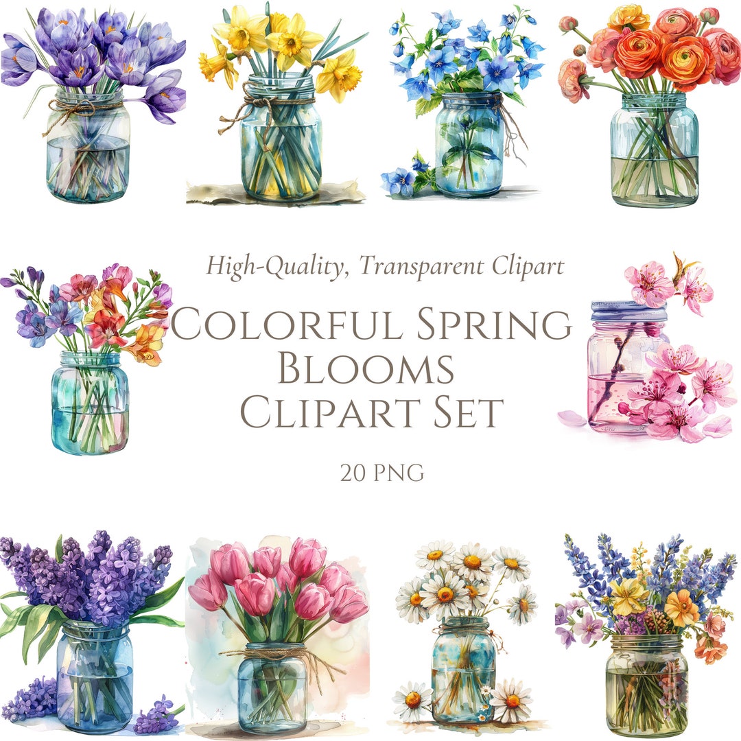 Colorful Spring Blooms Clipart Set 20 Digital PNG Illustrations ...