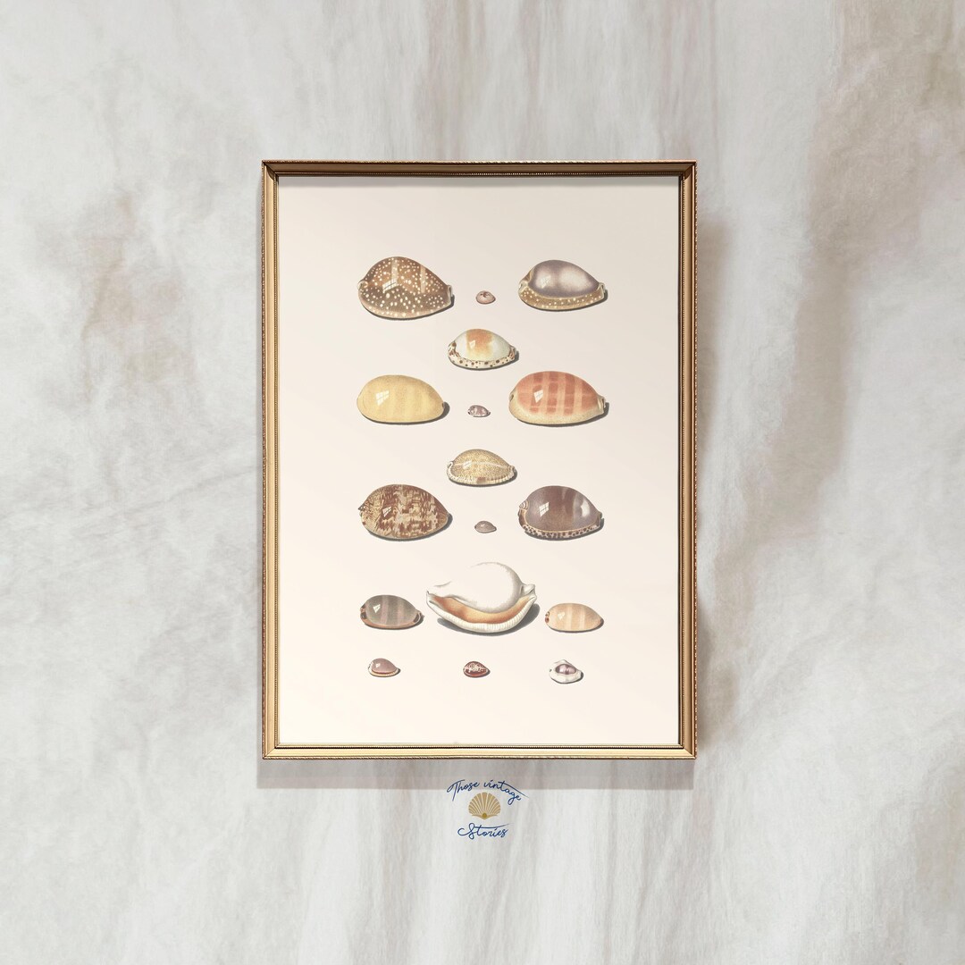 Vintage Sea Shell Poster, Nautical Wall Print, Coastal Beach Decor ...
