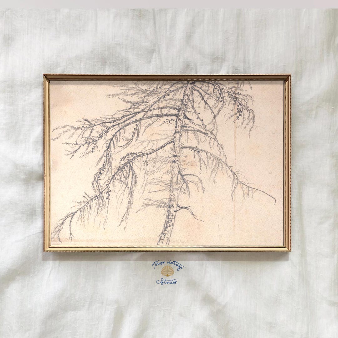 Tree Art, Vintage Drawing, Farmhouse Print, Tree Sketch Art, Vintage ...