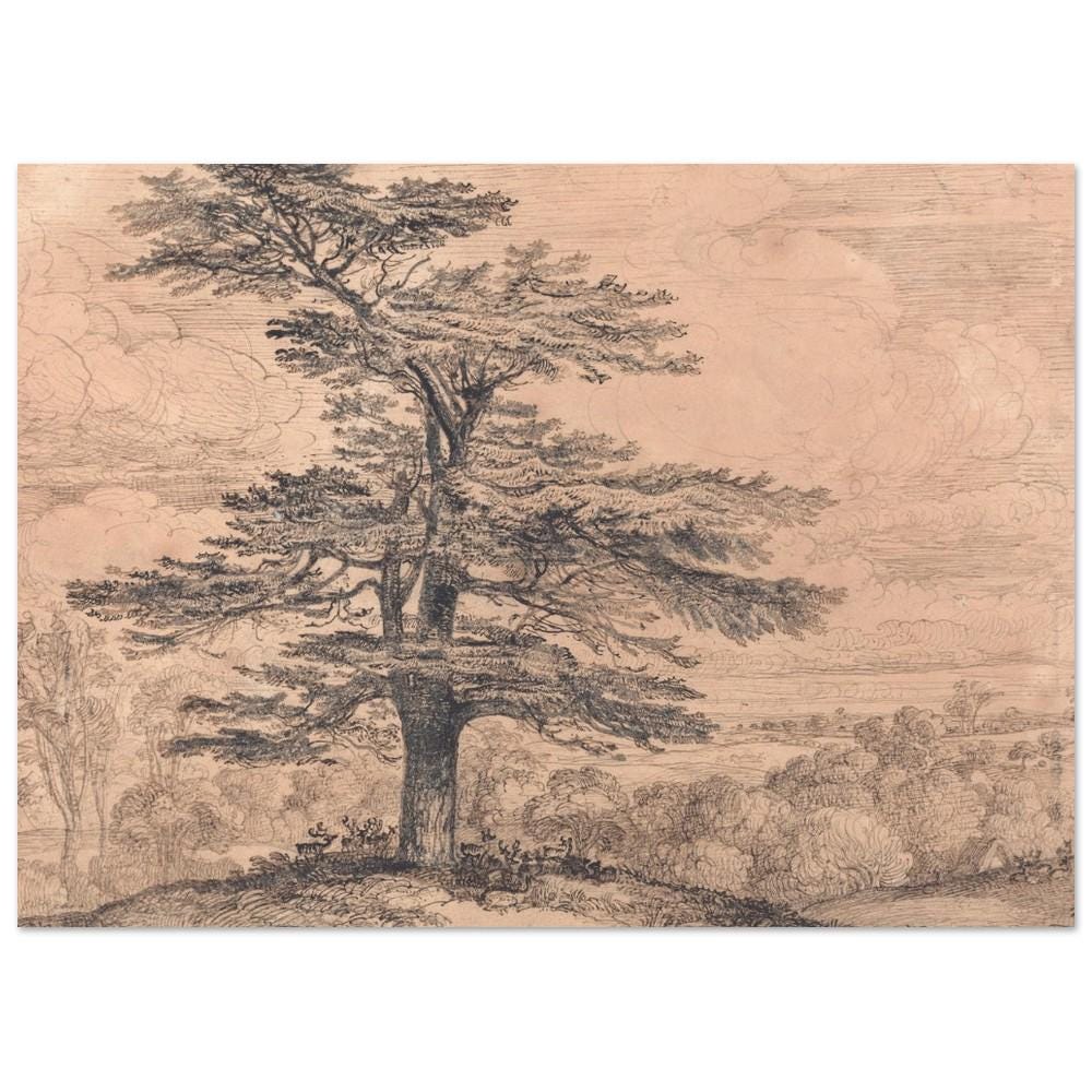Tree Art, Vintage Drawing, Farmhouse Print, Rustic Tree Sketch, Vintage ...