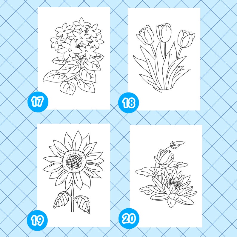 20 FLOWERS COLORING PAGES A4 Instant Downloads - Etsy