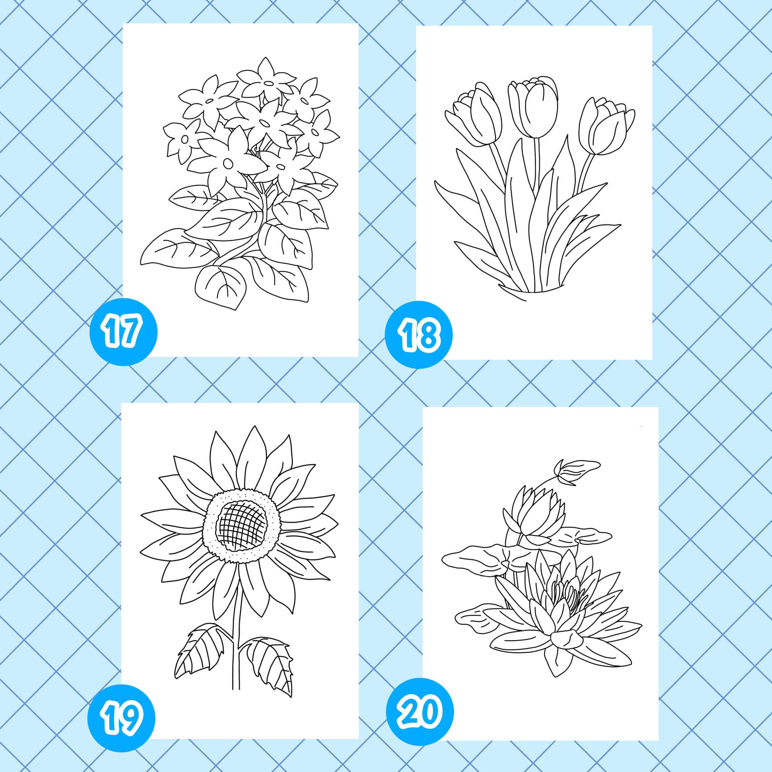 20 FLOWERS COLORING PAGES A4 Instant Downloads - Etsy