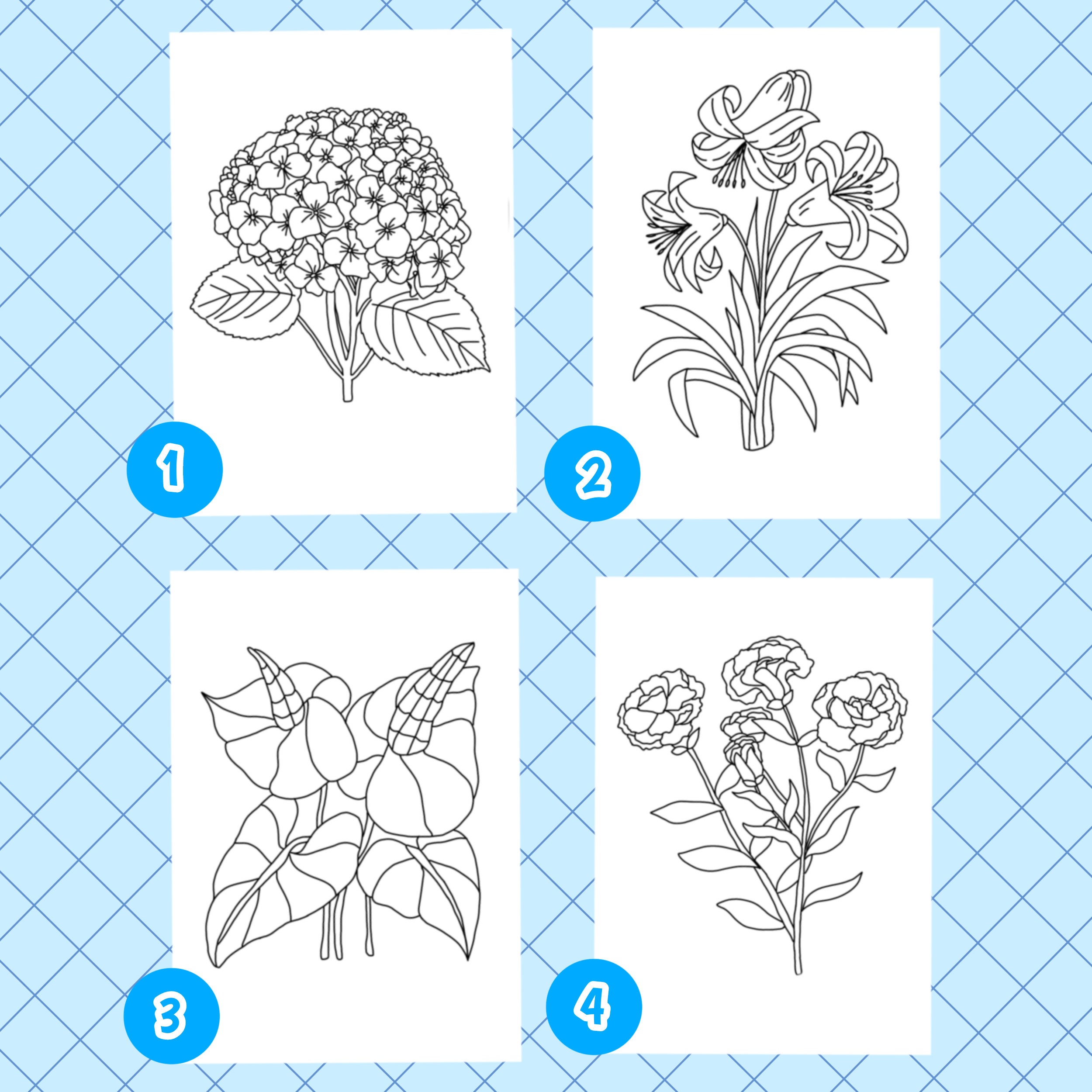20 FLOWERS COLORING PAGES A4 Instant Downloads - Etsy
