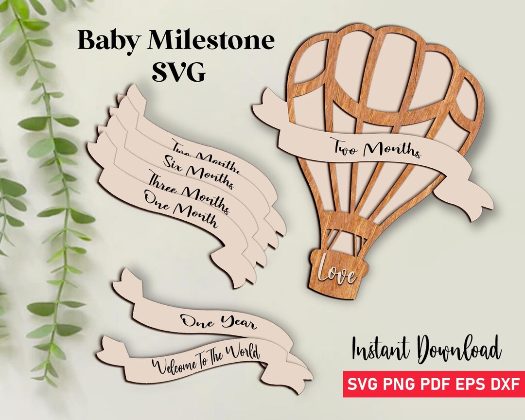 Baby Monthly Milestone Svg, Interchangeable Milestone Svg, Baby Girl ...