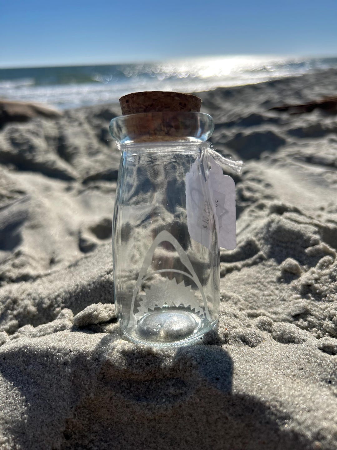 Shark Tooth Jar With Cork Cap - Etsy