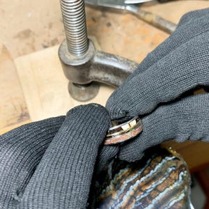 Prehistoric Fossil Ring. Certified Brontosaurus Dinosaur Bone Ice Age ...