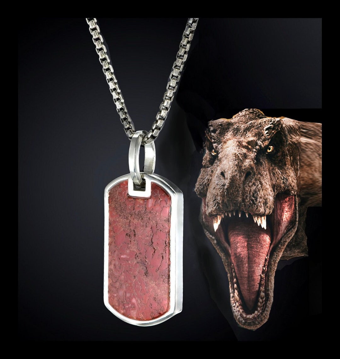 DINOSAUR BONE NECKLACE: Authentic Dinosaur Bone Jewelry. Red Fossil ...