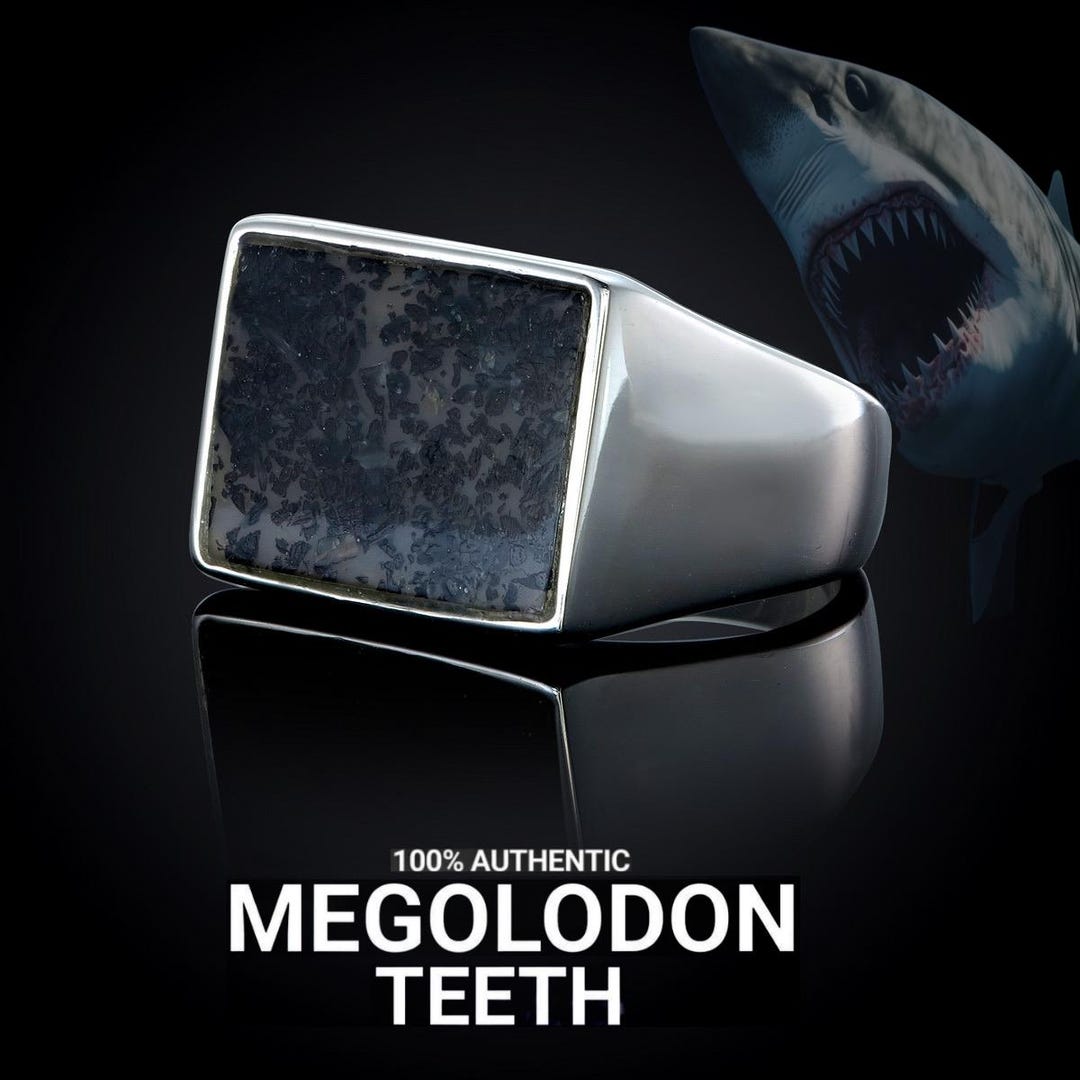 MEG TOOTH: Unique Signet Ring. Crushed Megladon Tooth Fossil Fragments ...