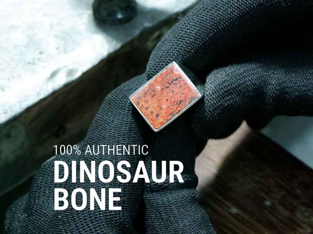 DINOSAUR BONE Ring: Sterling Silver Signet Ring. Certified Brontosaurus ...