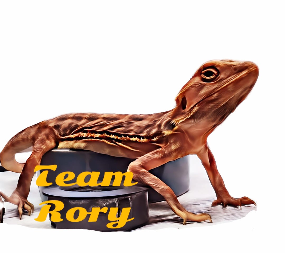 Team Rory 3 Inch Sticker Bearded Dragon - Etsy