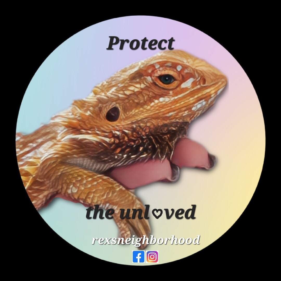 Dragon Protect the Unloved 3 Inch Sticker Bearded Dragon - Etsy
