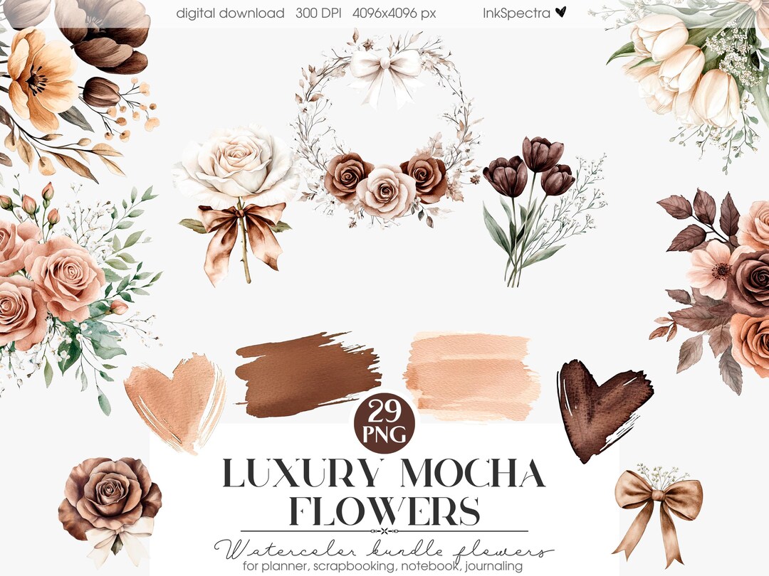 Luxury Mocha Flowers, Tulips Roses Flowers, Rich Life Aesthetic ...